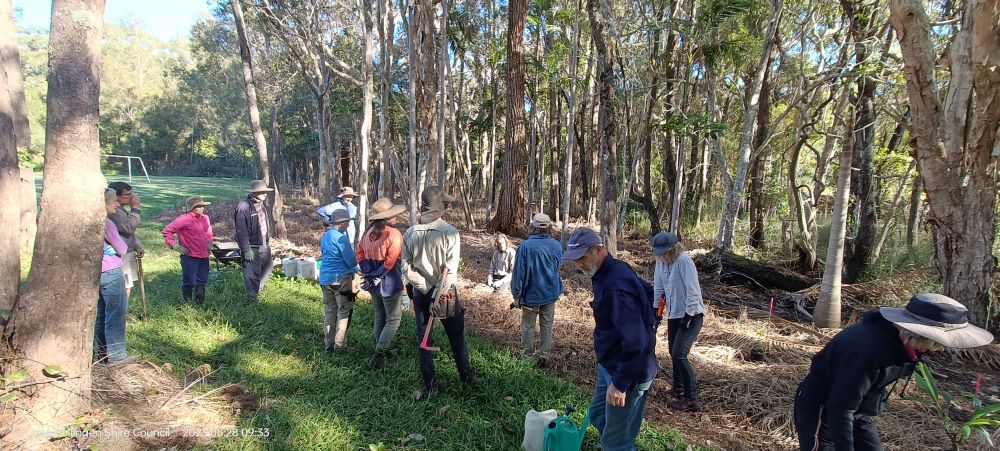 Station Creek, Urunga - Bellinger Landcare