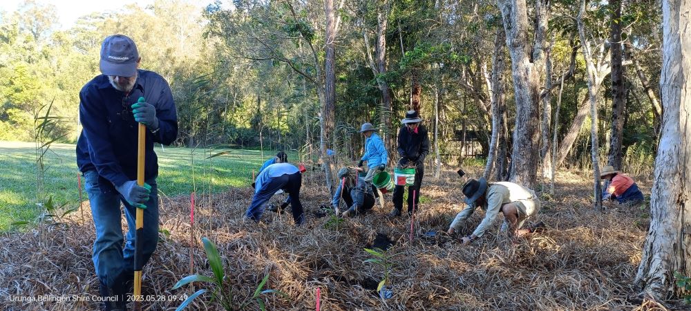 Station Creek, Urunga - Bellinger Landcare